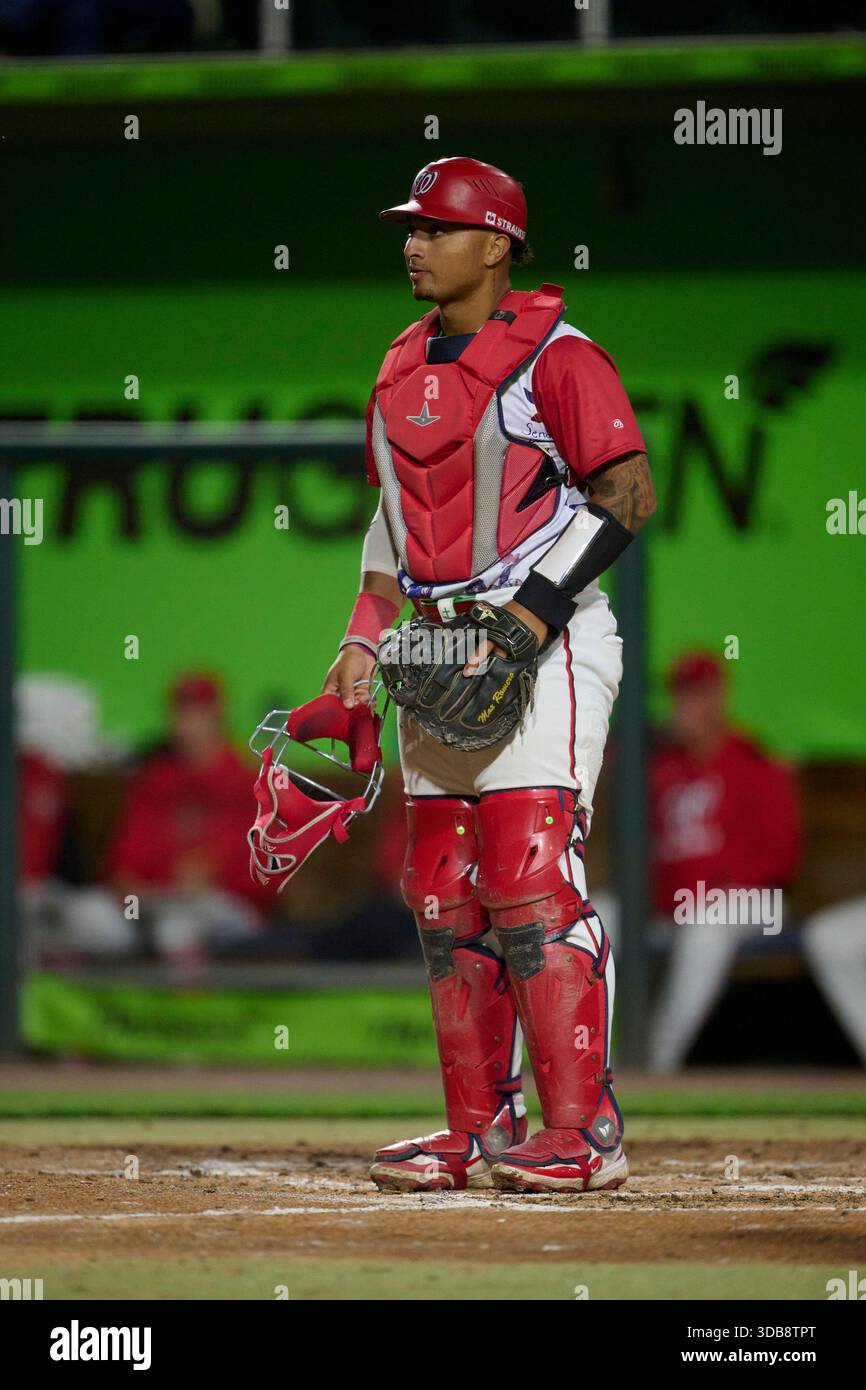 Harrisburg Senators catcher Maxwell Romero Jr. (21) during an MiLB ...