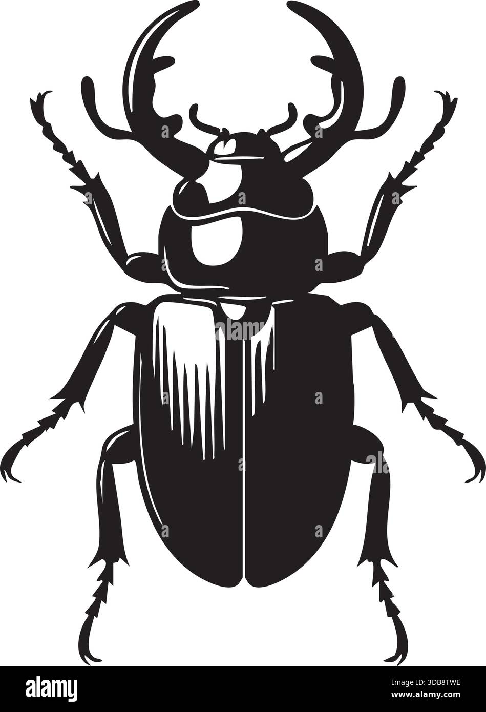 A detailed depiction of a stag beetle with large mandibles shown from ...