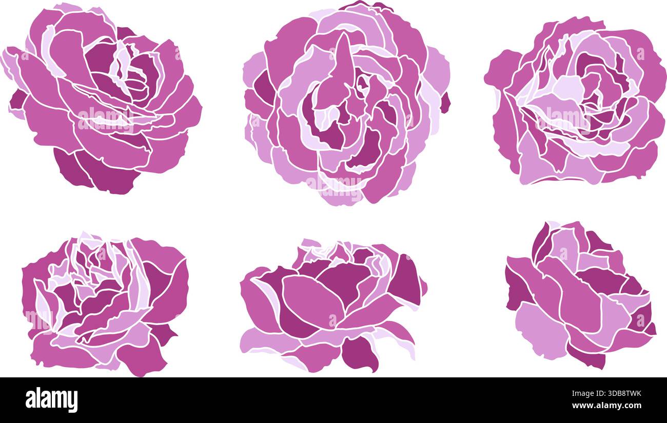 Lush pink flower peony Cut Out Stock Images & Pictures - Alamy