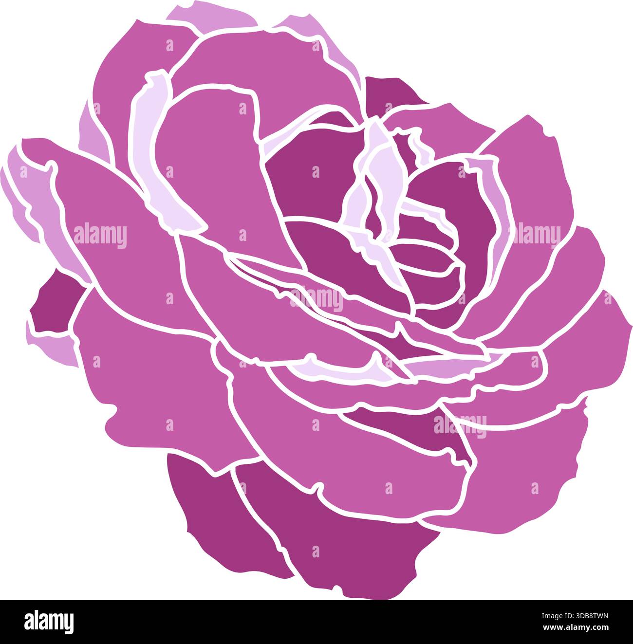 Lush pink flower peony Stock Vector Images - Alamy