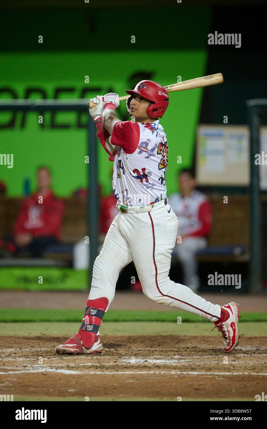 Harrisburg Senators Maxwell Romero Jr. (21) bats during an MiLB Eastern ...