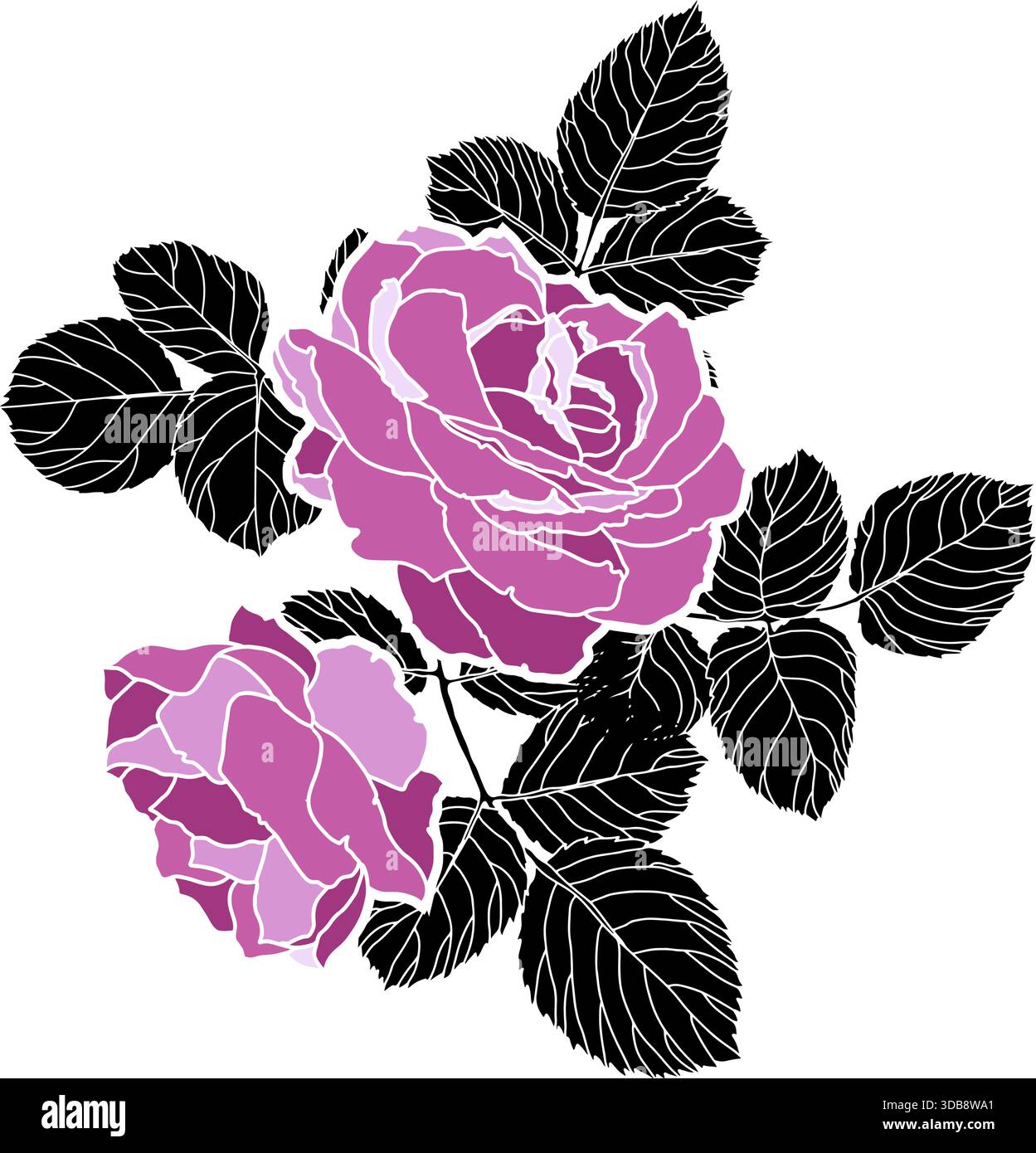 Rose silhouette combo hi-res stock photography and images - Alamy