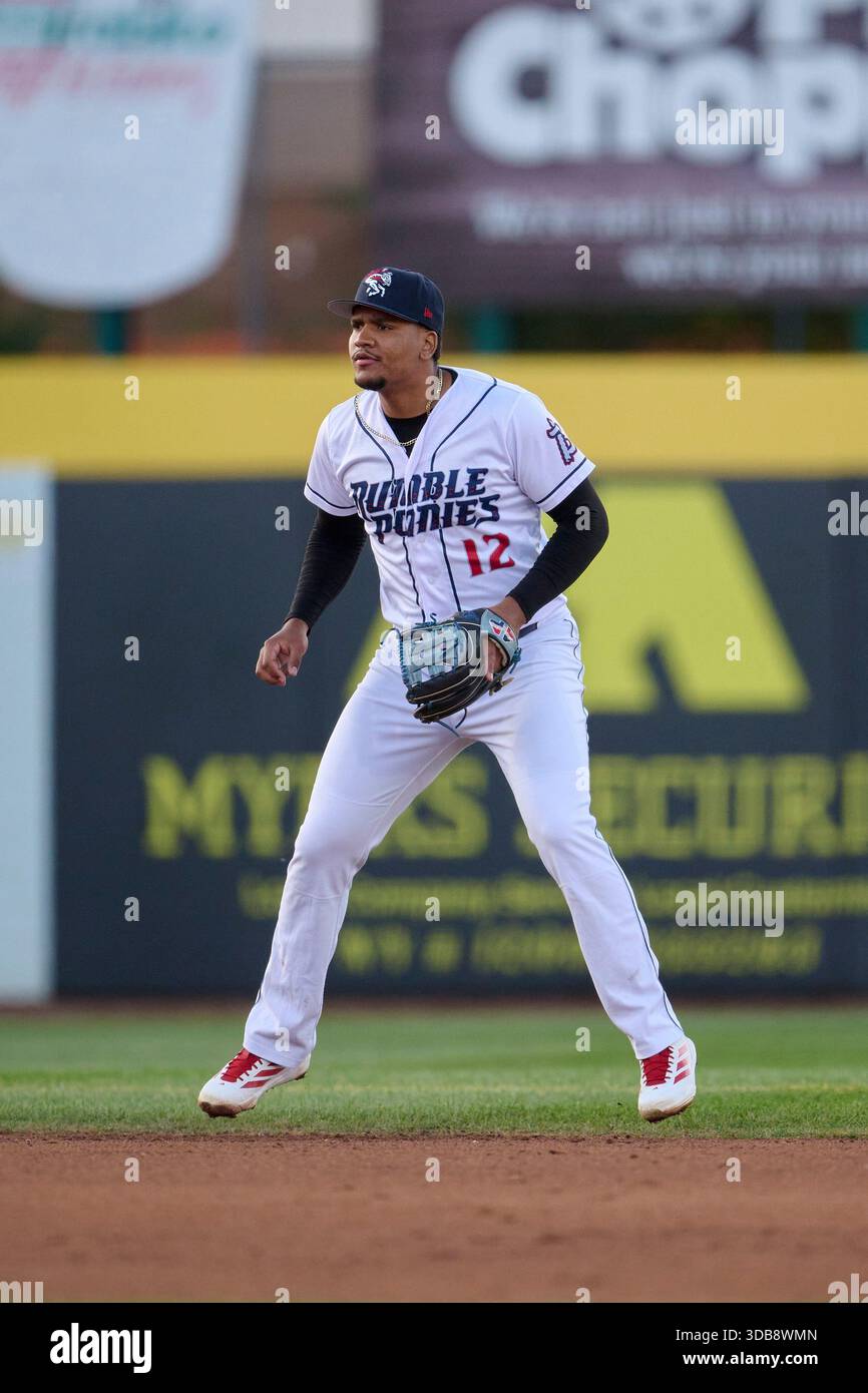 Binghamton Rumble Ponies shortstop William Lugo (12) during an MiLB ...