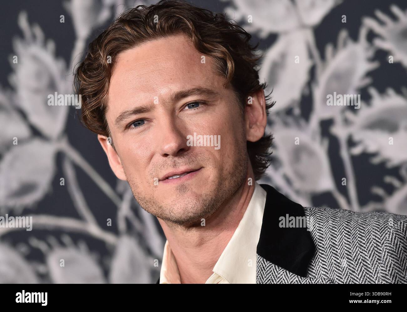 Lewis Pullman arriving to the Los Angeles premiere of Searchlight ...