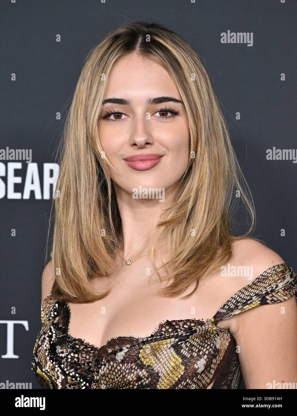 Hollywood, USA. 14th Dec, 2025. Julia Butters arriving to the Los ...