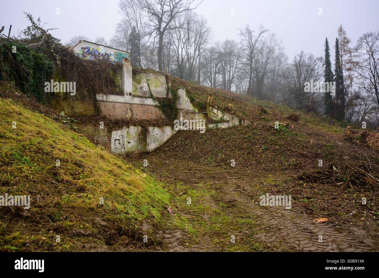 linz, austria, 10 dec 2025, tress cut in the area bergschloesslpark to ...