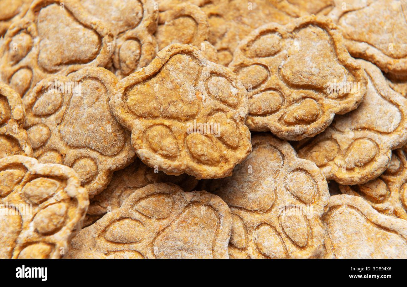 Pile of fresh baked paw print shaped canine snacks Stock Photo - Alamy
