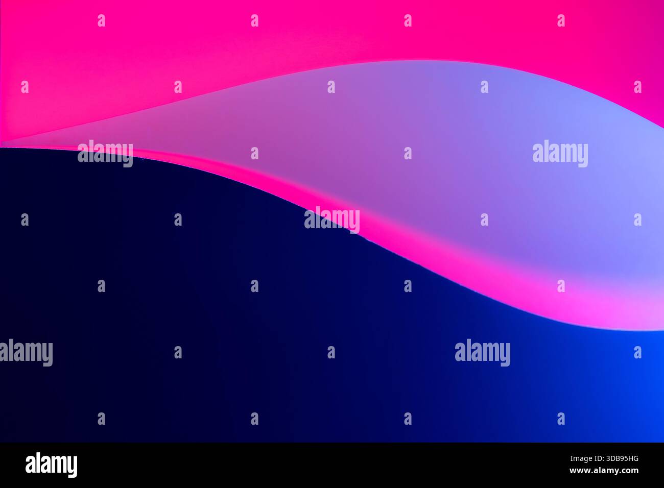Smooth curved shapes in vibrant light and dark lue and pink create a ...