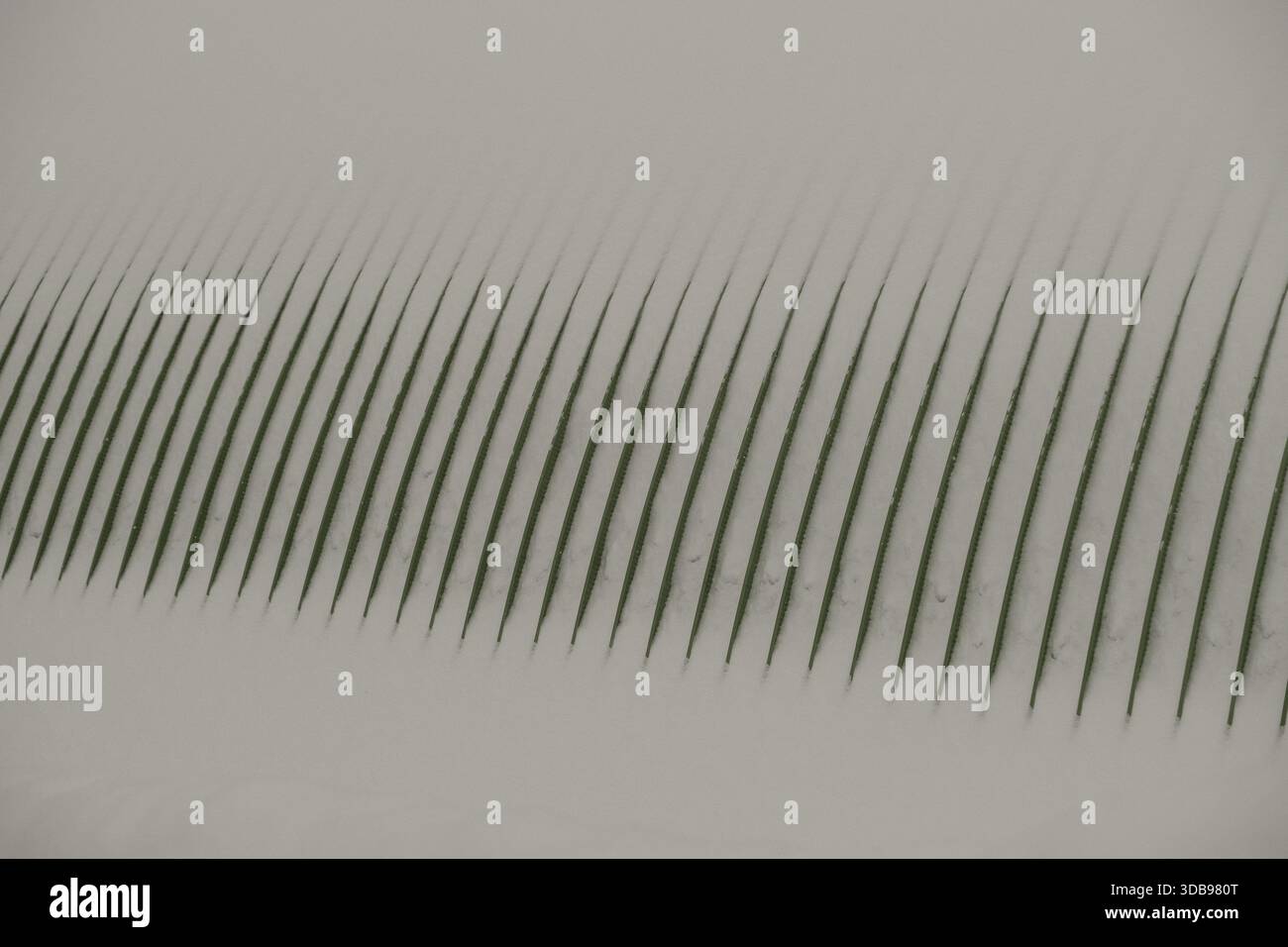 Subtle, elegant linear textures create a calming, rhythmic background ...