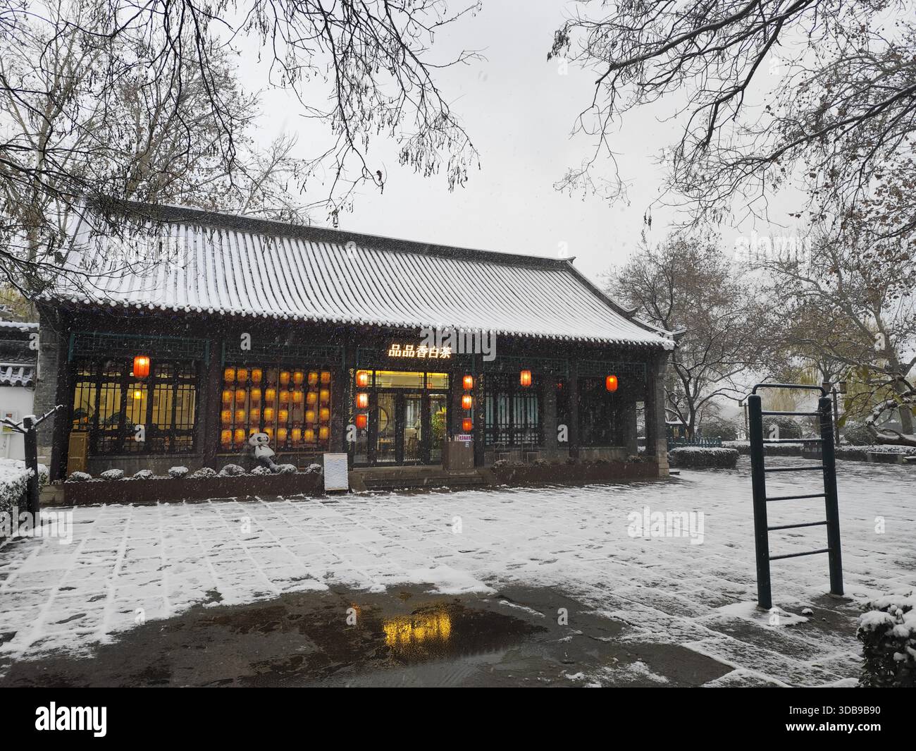Snow scenery of the Daming Lake scenic area in Jinan City, east China's ...
