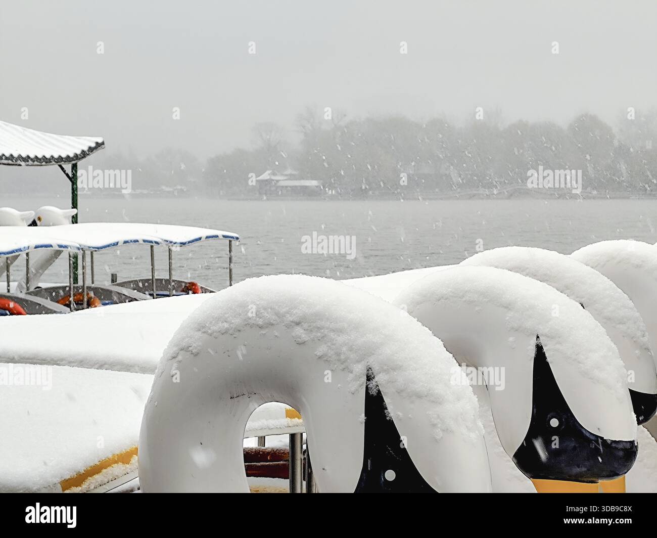 Snow scenery of the Daming Lake scenic area in Jinan City, east China's ...