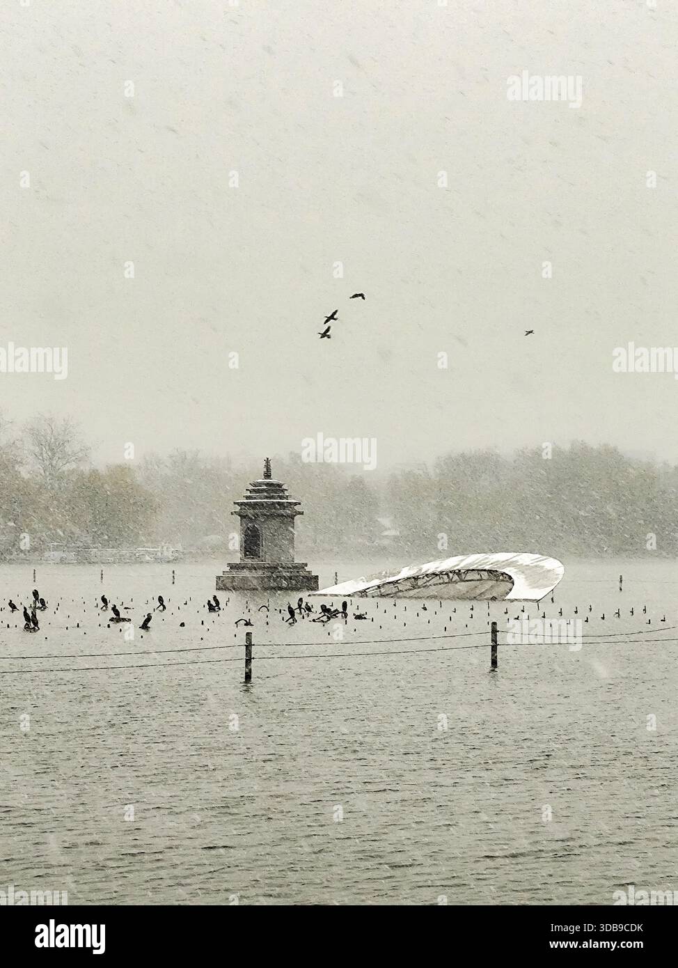 Snow scenery of the Daming Lake scenic area in Jinan City, east China's ...