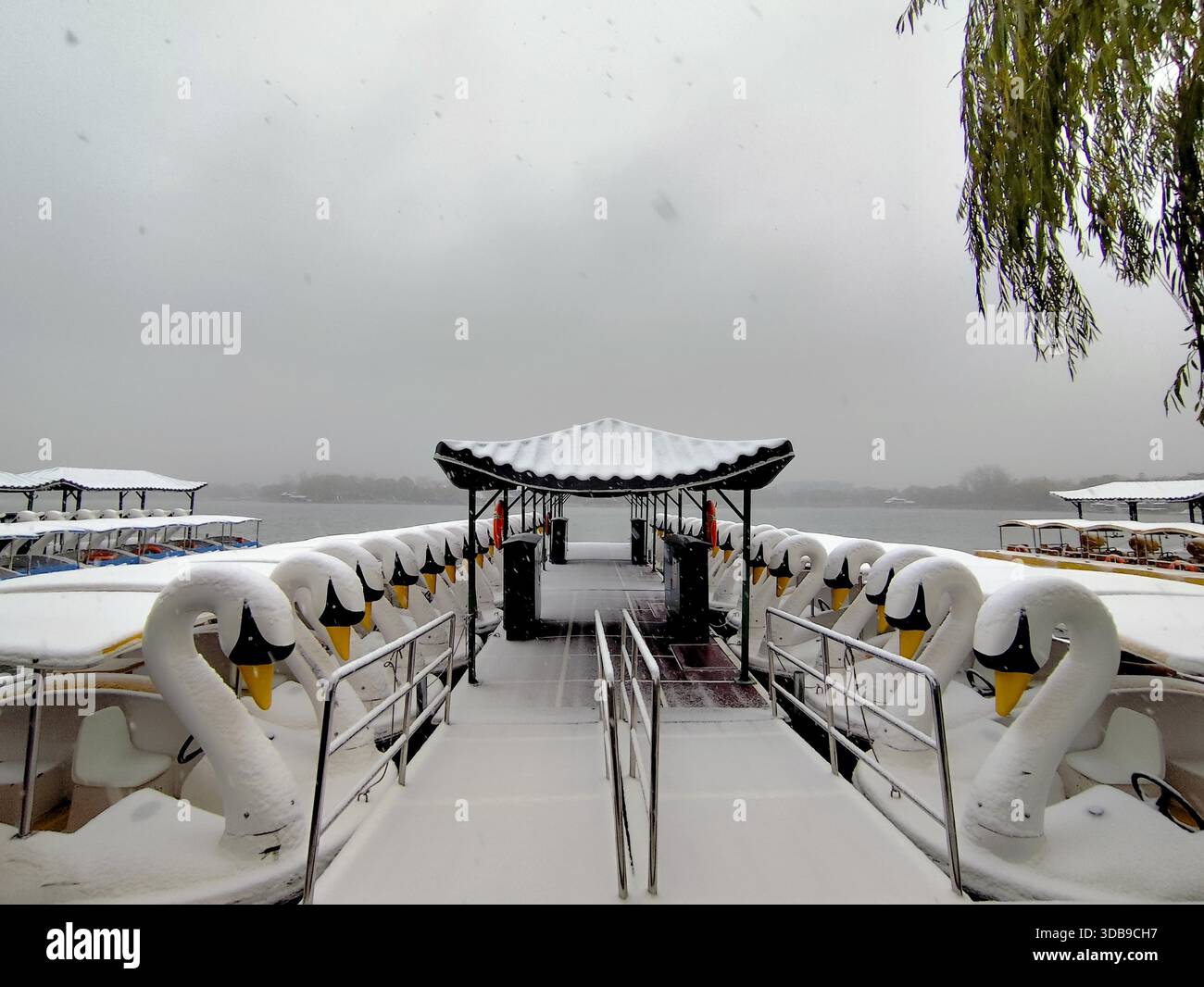 Snow scenery of the Daming Lake scenic area in Jinan City, east China's ...
