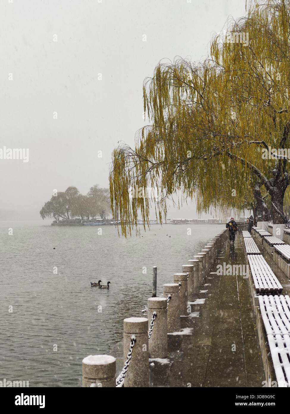 Snow scenery of the Daming Lake scenic area in Jinan City, east China's ...