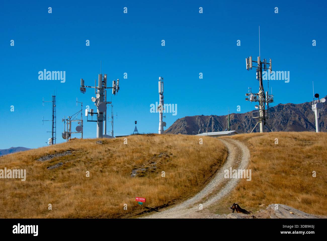 Aerials, Antennae and Communication Dishes in Queenstown - New Zealand ...