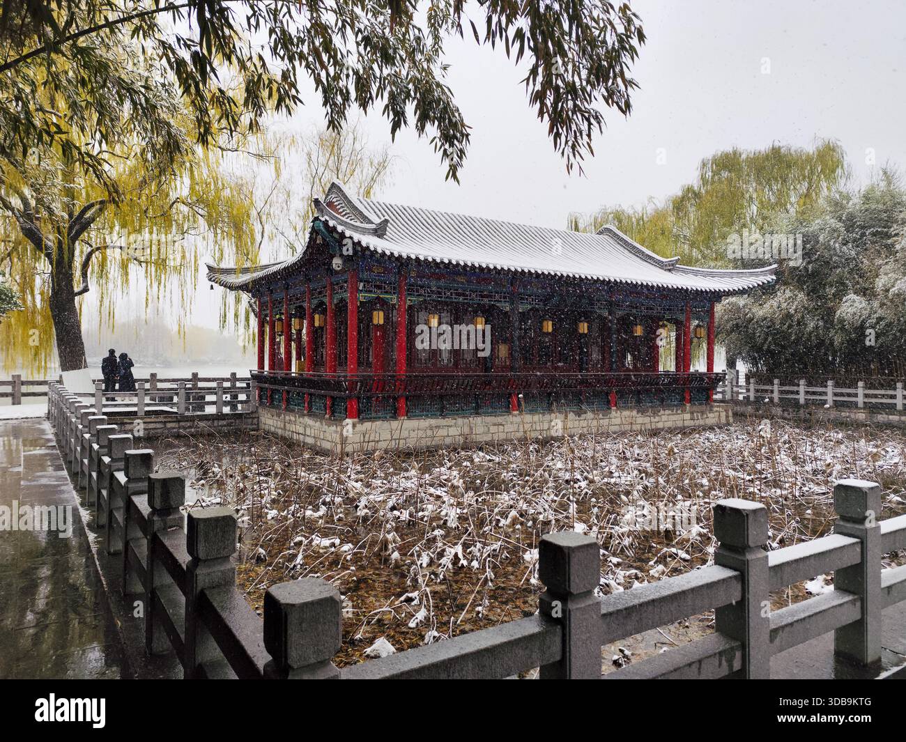 Snow scenery of the Daming Lake scenic area in Jinan City, east China's ...