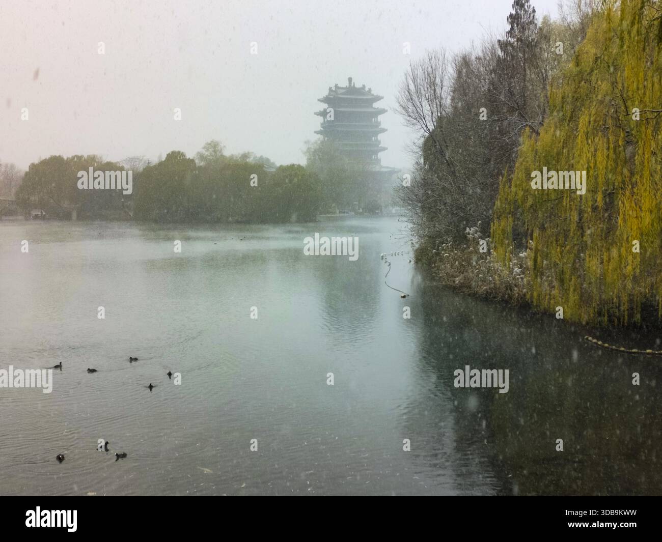 Snow scenery of the Daming Lake scenic area in Jinan City, east China's ...