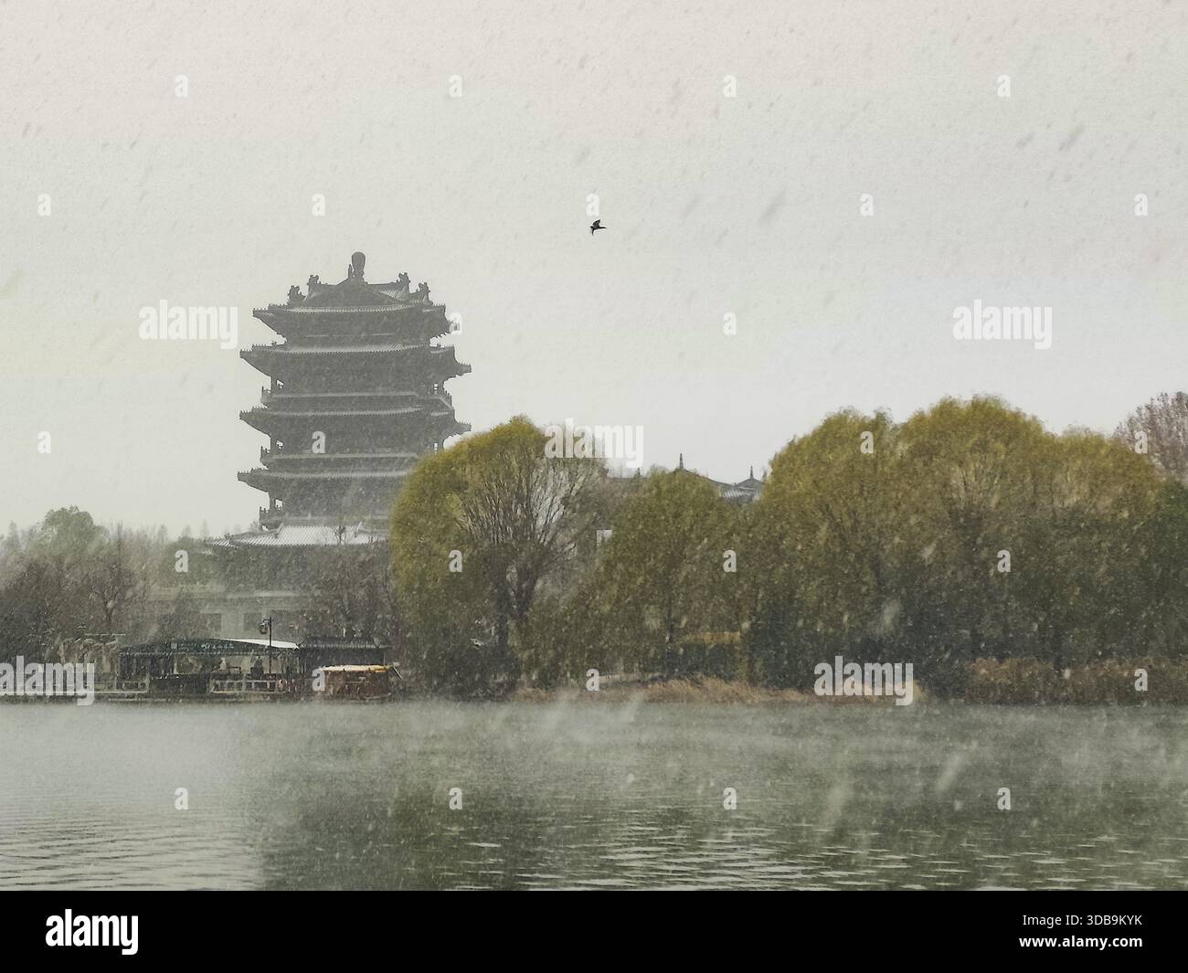 Snow scenery of the Daming Lake scenic area in Jinan City, east China's ...