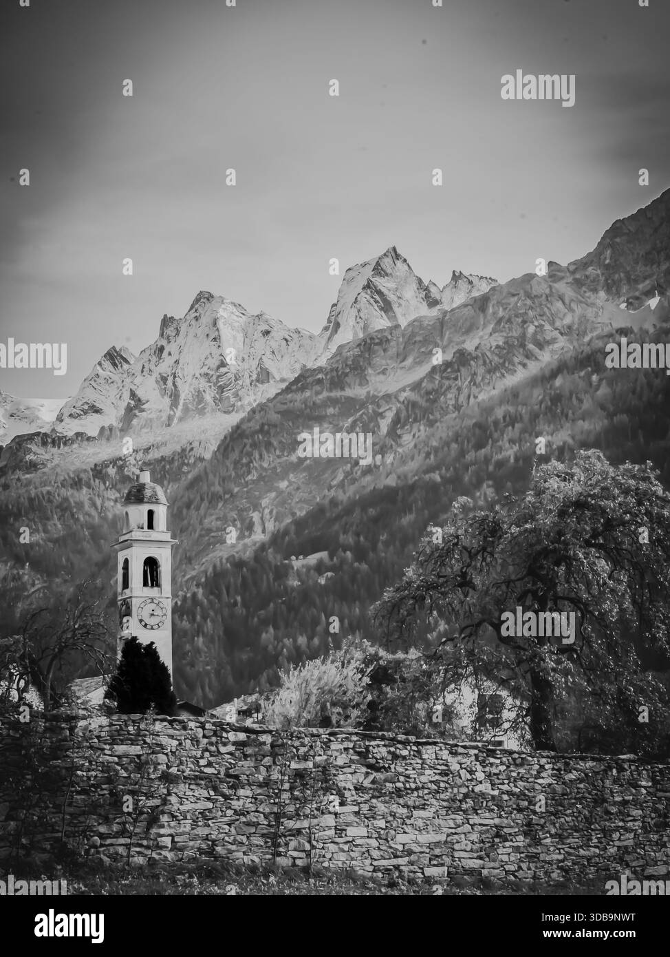 Stunning autumn Black and White Stock Photos & Images - Alamy