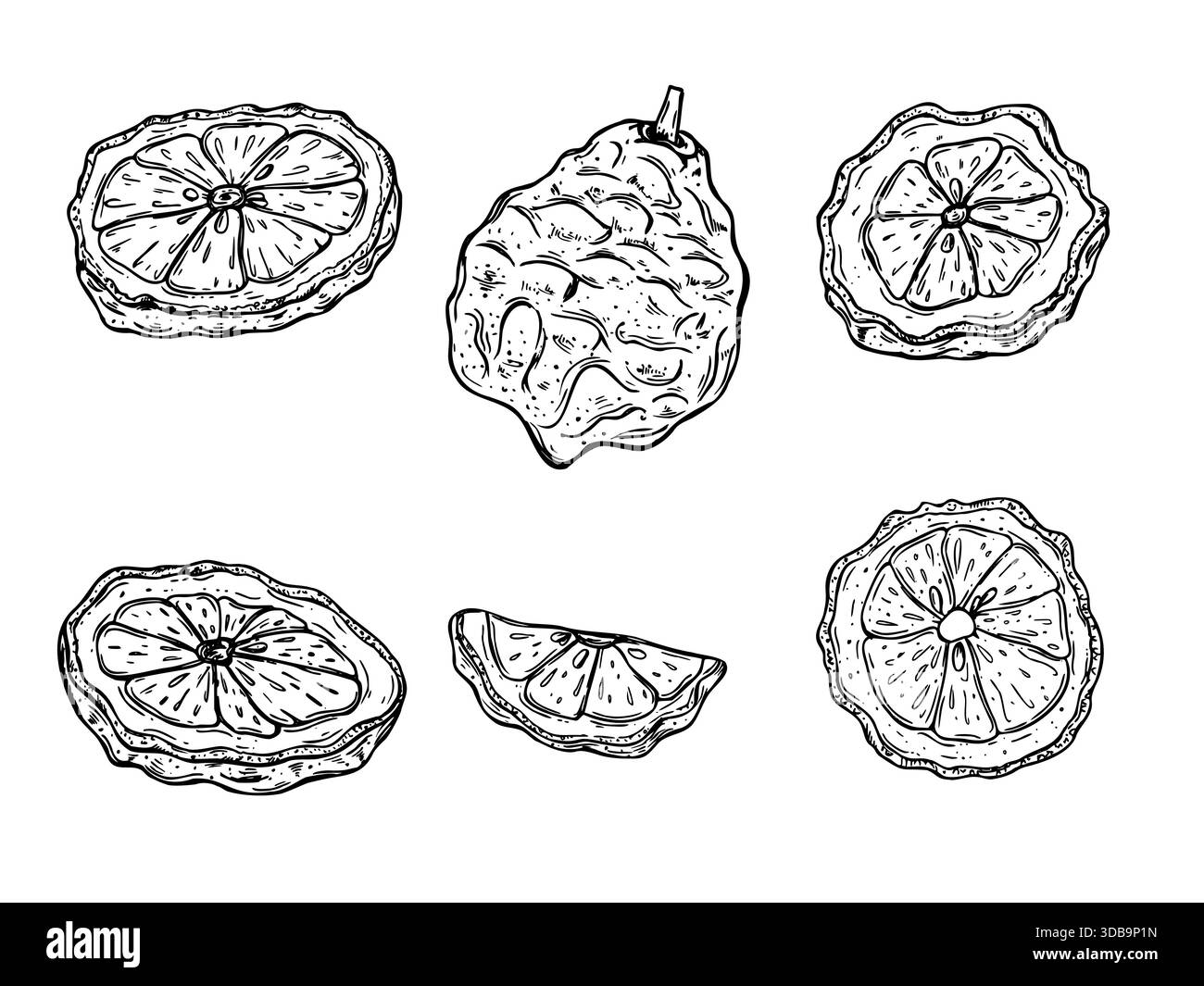 Fruit art vector vectors Black and White Stock Photos & Images - Alamy