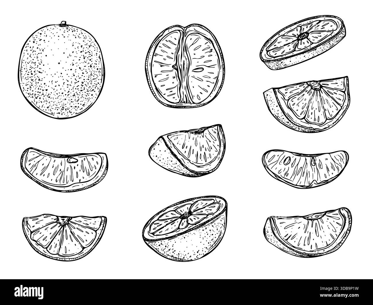 Cold food section Stock Vector Images - Alamy