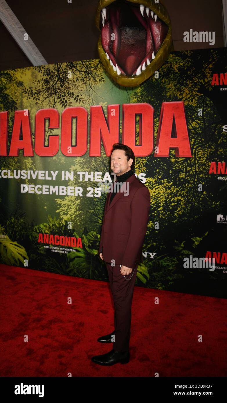 LOS ANGELES, CALIFORNIA - DECEMBER 13: Selton Mello attend the premiere ...