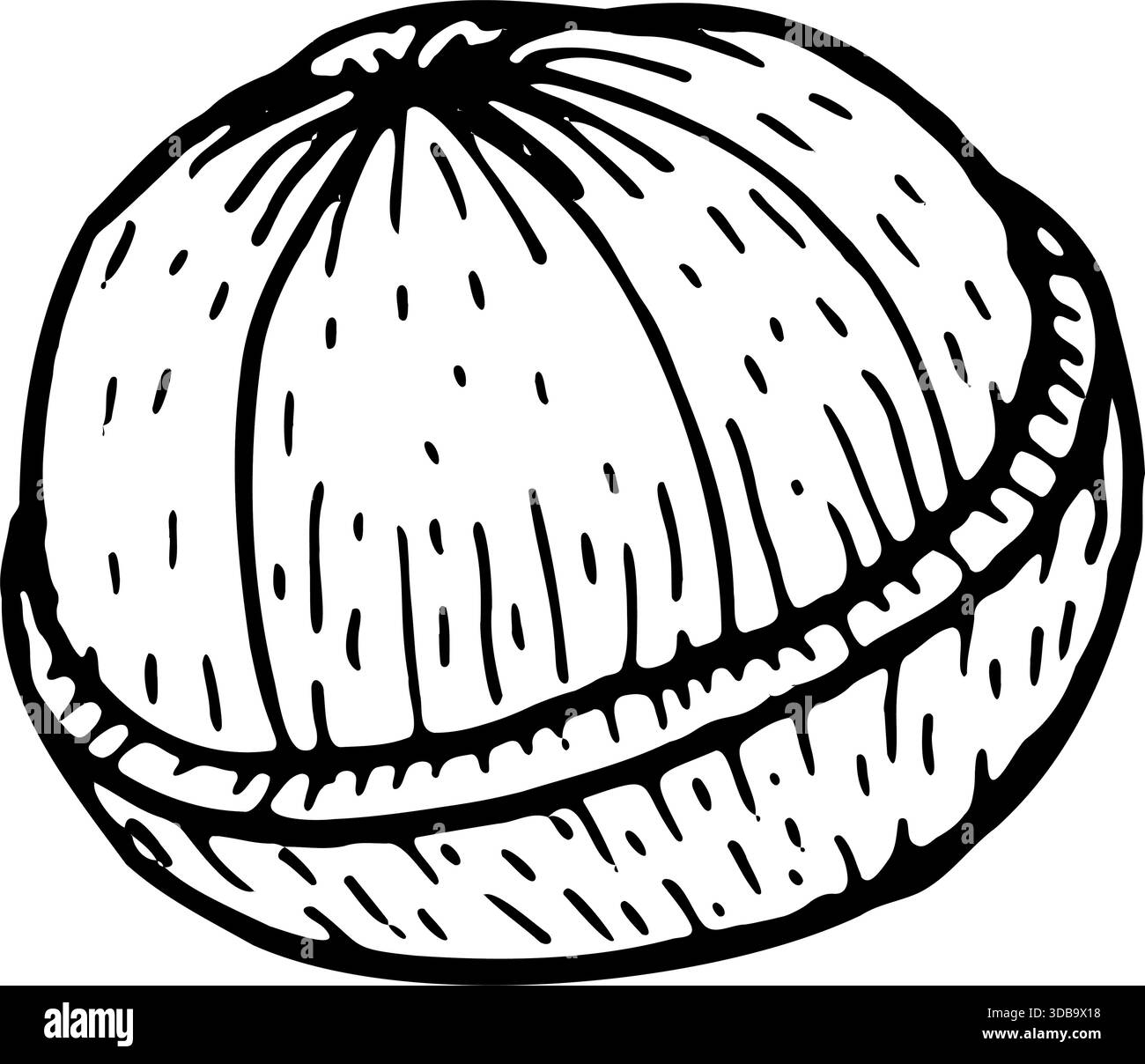 Mangosteen half fruit illustration Cut Out Stock Images & Pictures - Alamy
