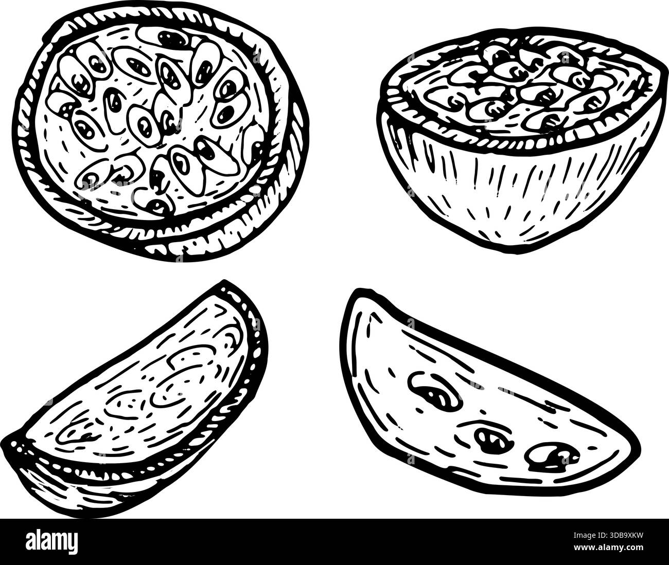 Natural engraved icon green Black and White Stock Photos & Images - Alamy