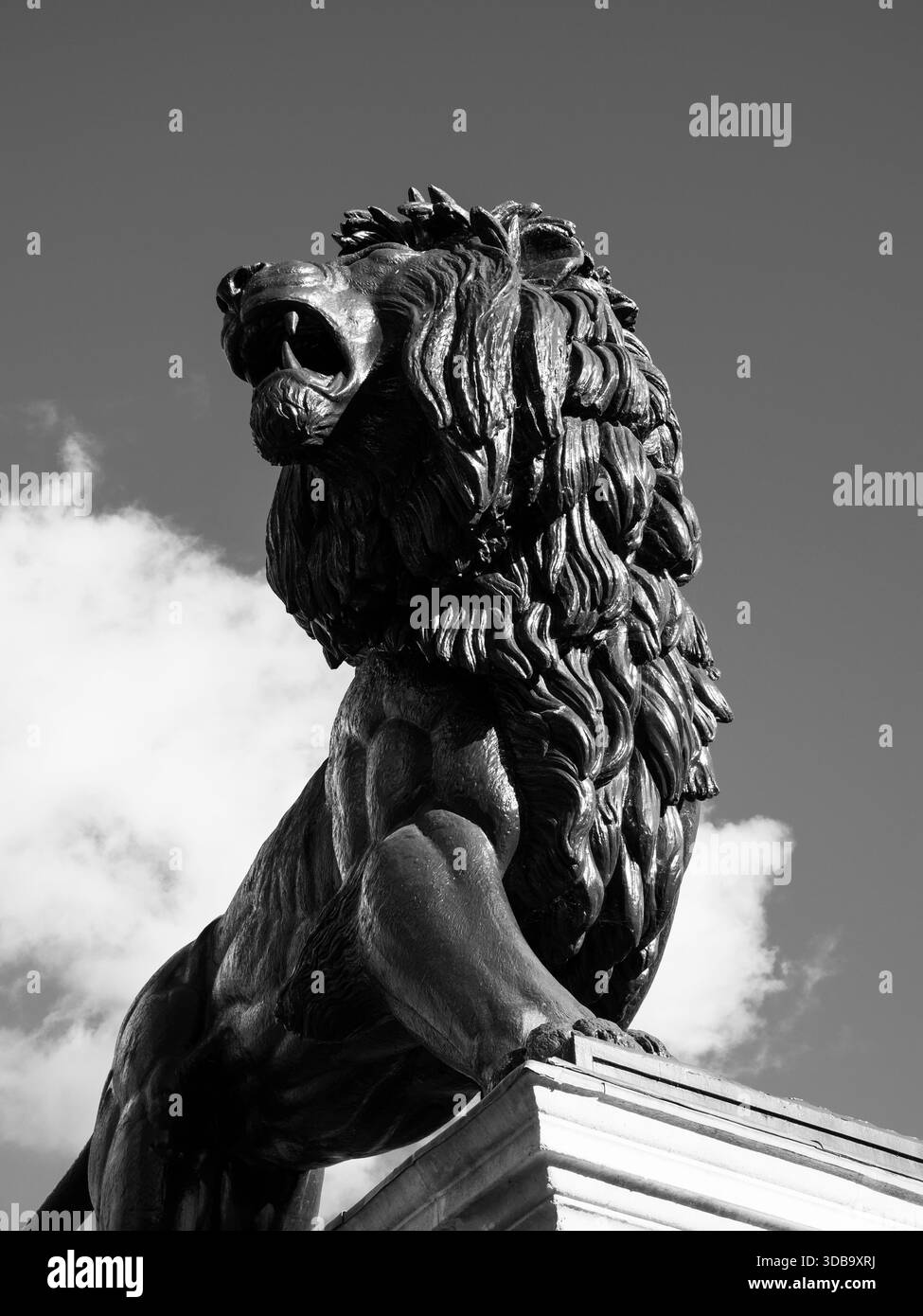 Uk reading Black and White Stock Photos & Images - Alamy