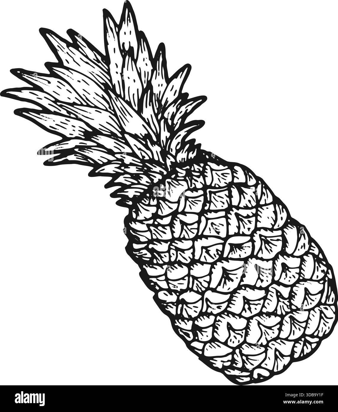 Pineapple fruit design template Black and White Stock Photos & Images ...
