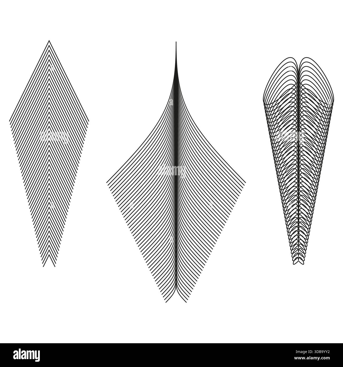 Three geometric shapes. Fine line pattern. Abstract Vector structure ...