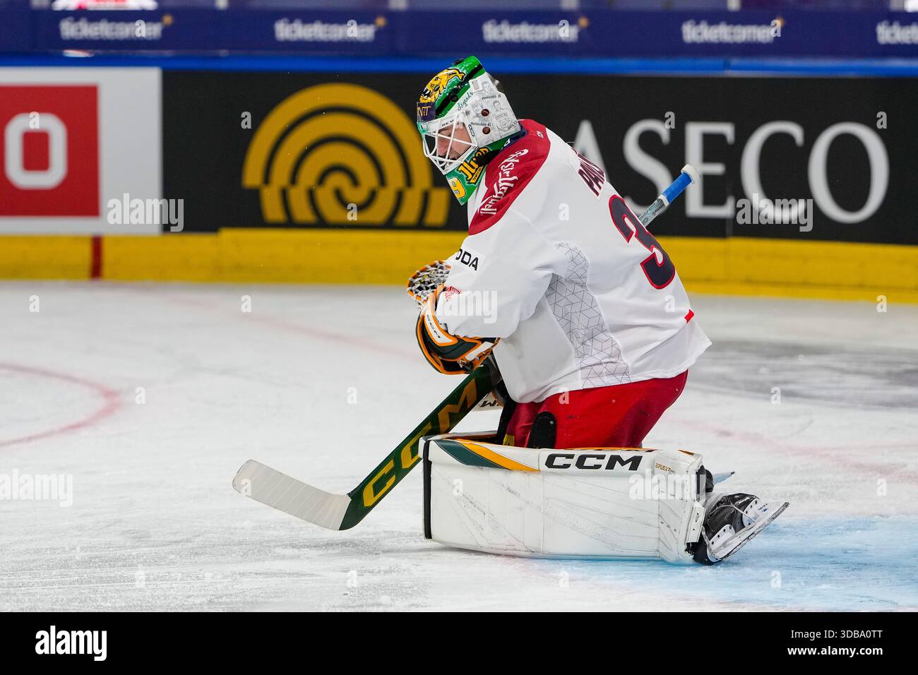 ZURICH, SWITZERLAND - DECEMBER 14: goalkeeper Dominik Pavlat of Czech ...