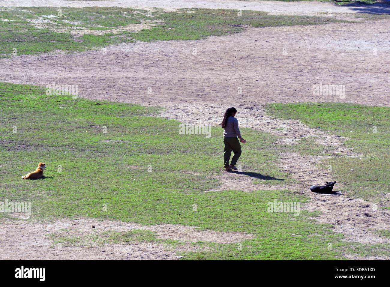 Siliguri, West Bengal, India. 15th Dec, 2025. A Girl walks past as the ...