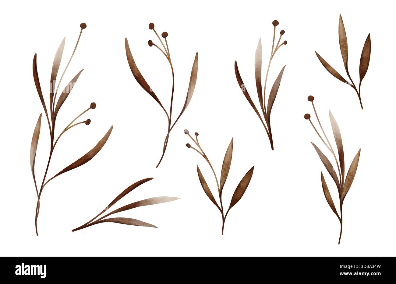 Spots markings Cut Out Stock Images & Pictures - Alamy