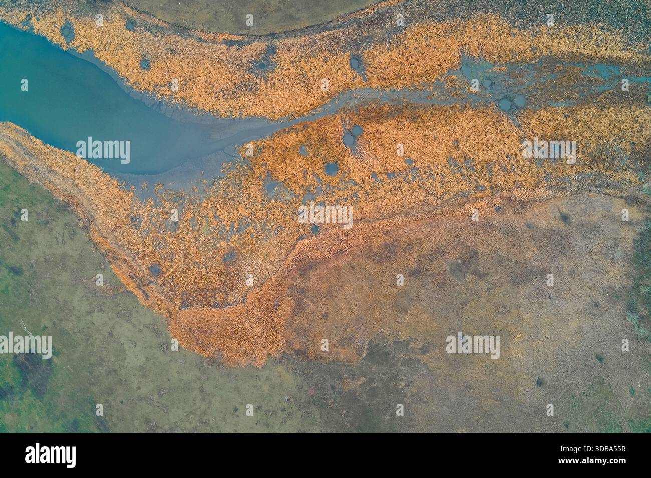 The scene shows a winding river channel sharply separating dense orange ...