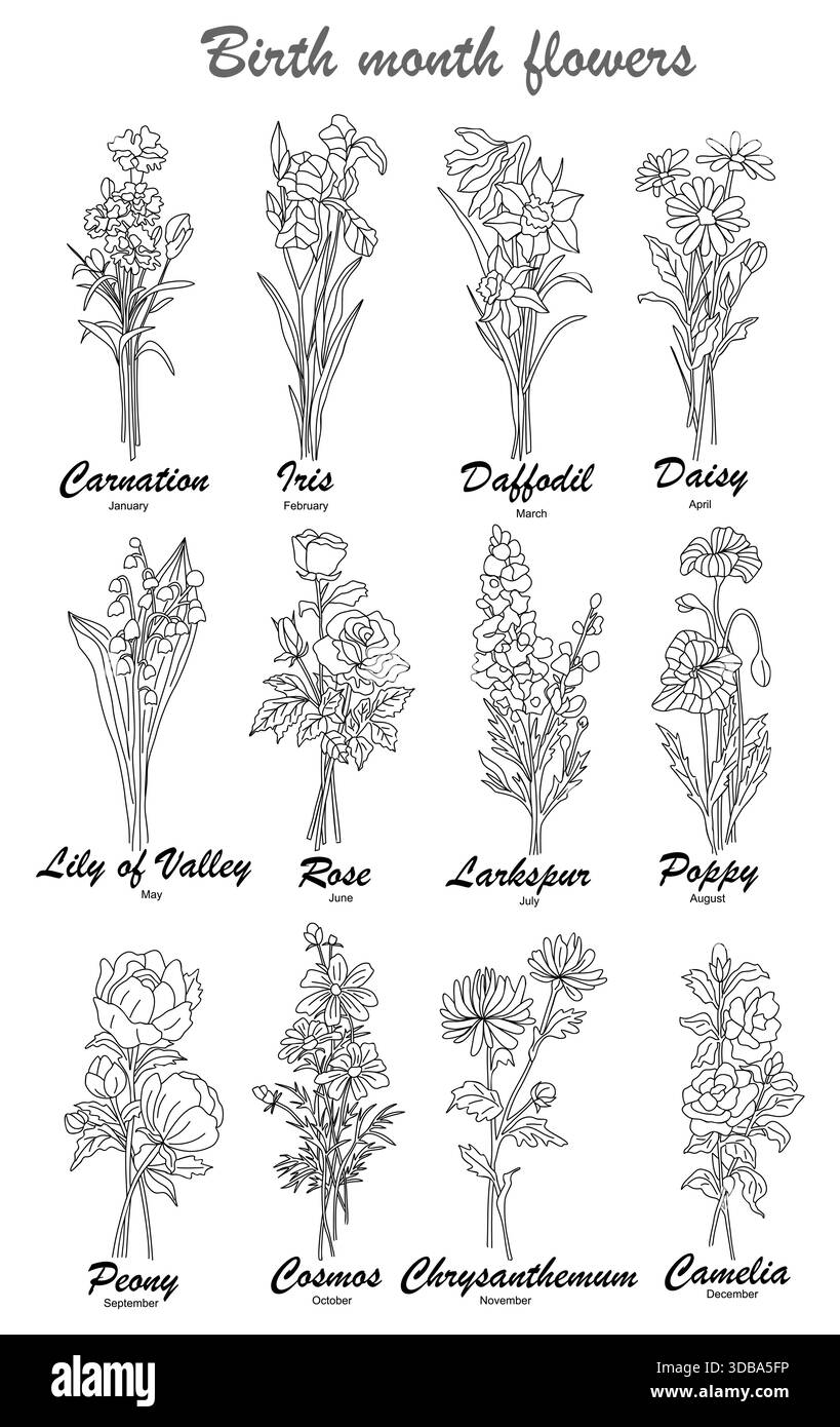 November flowers Cut Out Stock Images & Pictures - Alamy