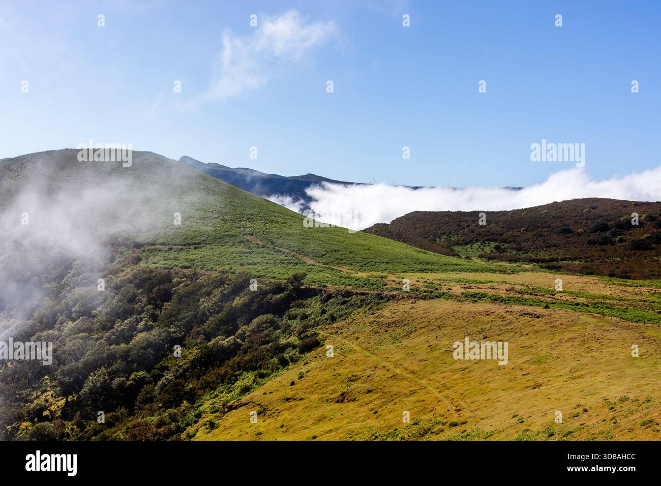Madeira island mountain landscape with green hills and clouds. Scenic ...