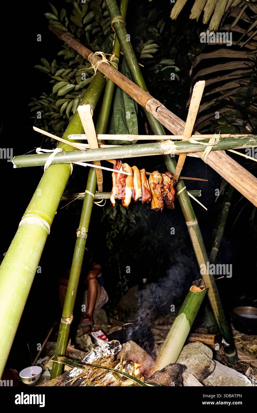 Smoking meat over a campfire using a green bamboo tripod structure in ...