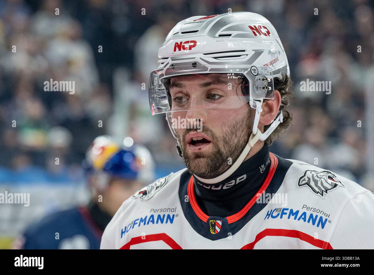 Evan Barratt (Nuernberg Ice Tigers, #10) / Portrait / Portrait GER, EHC ...