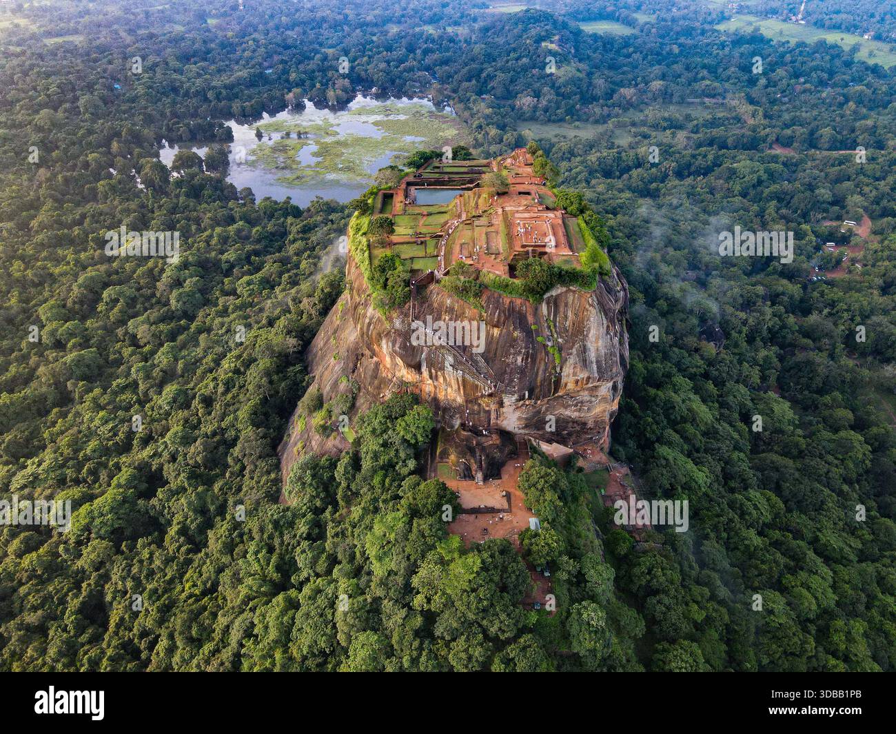 Aerial view of Sigiriya Rock Fortress emerging from lush tropical ...