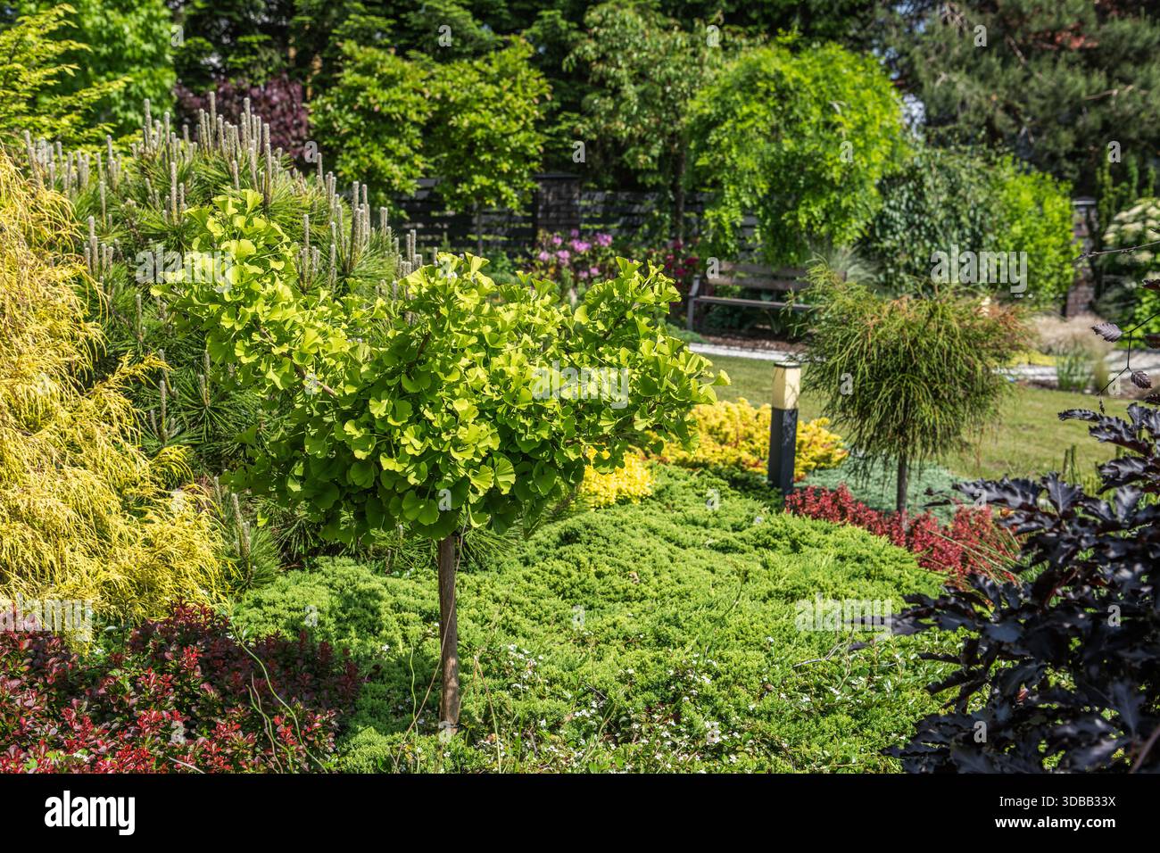 Plants and trees fill a garden in spring with various shades of green ...