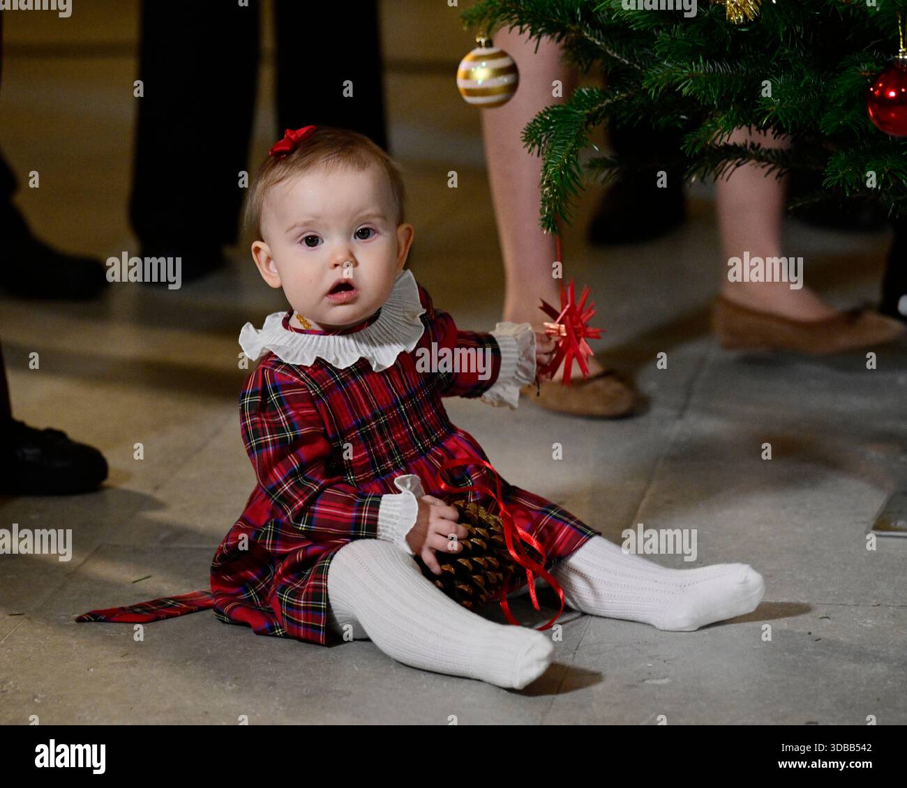 Queen Silvia and her grandchildren receive this year's Christmas trees ...