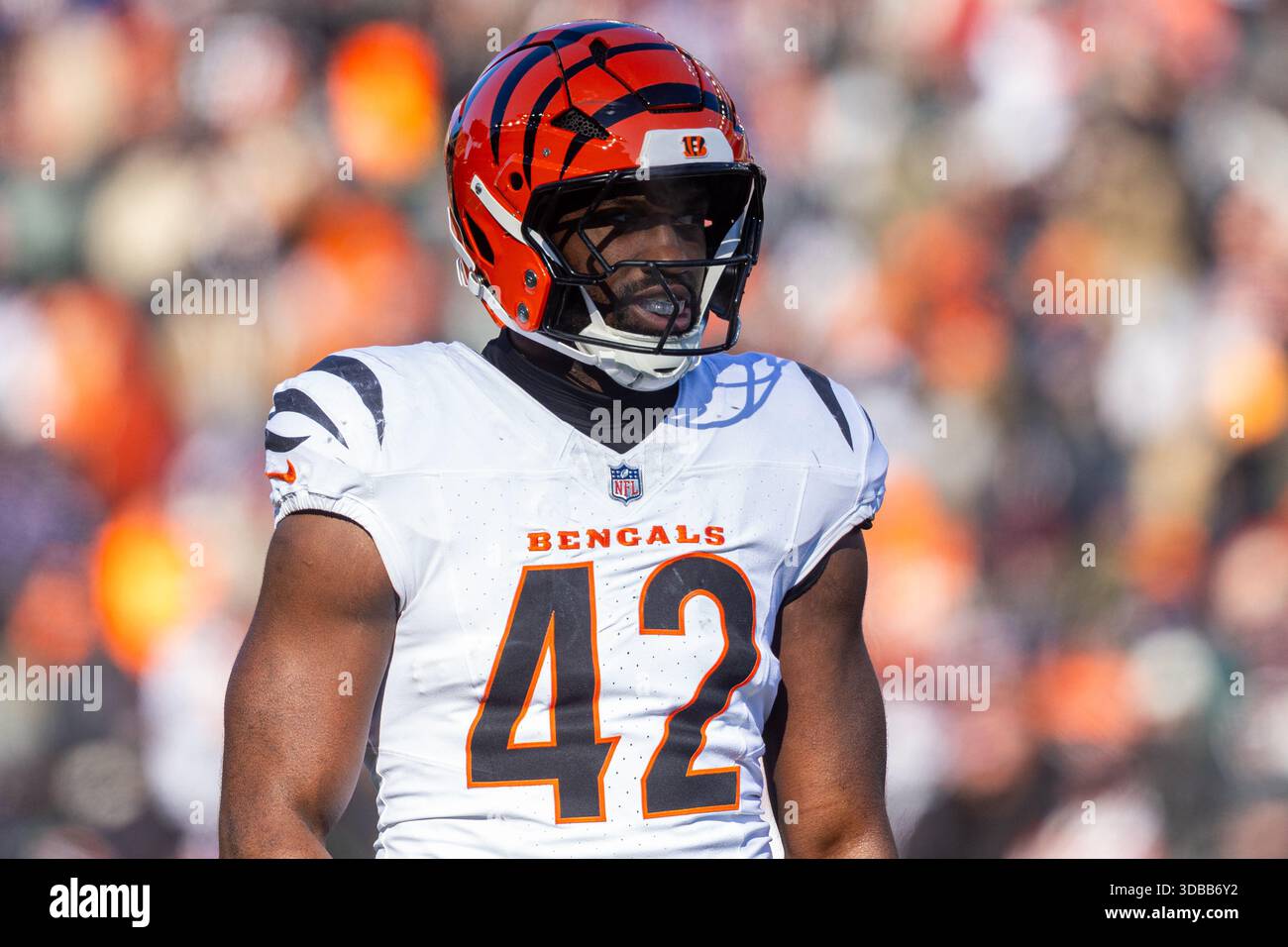 December 14, 2025: Cincinnati Bengals linebacker Oren Burks (42) during ...