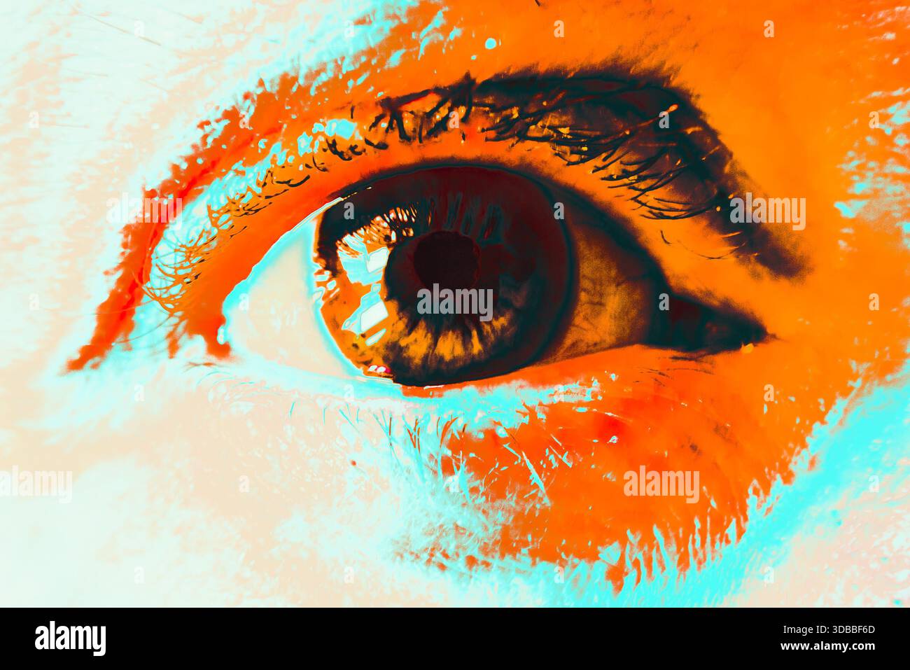 Closeup view human eye hi-res stock photography and images - Alamy