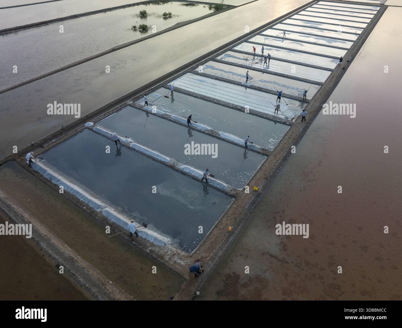 Aerial view of shimmering salt ponds reflecting the soft light, where ...