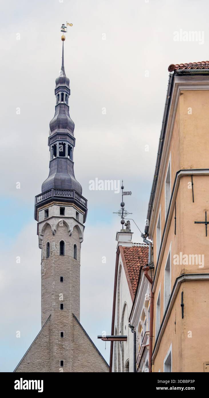 The Gothic Old Thomas tower of City Hall rises above the Old Town ...