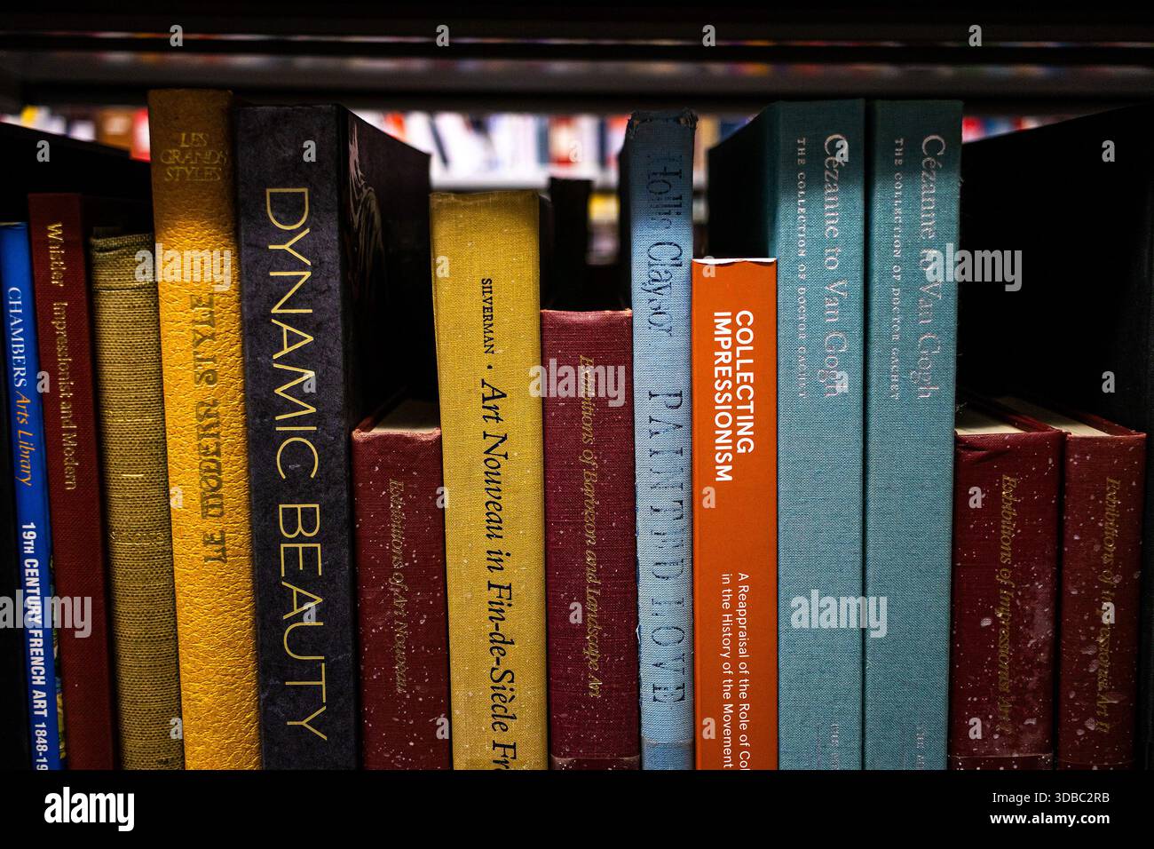 Library bookshelf of academic books about art nouveau, impressionism ...