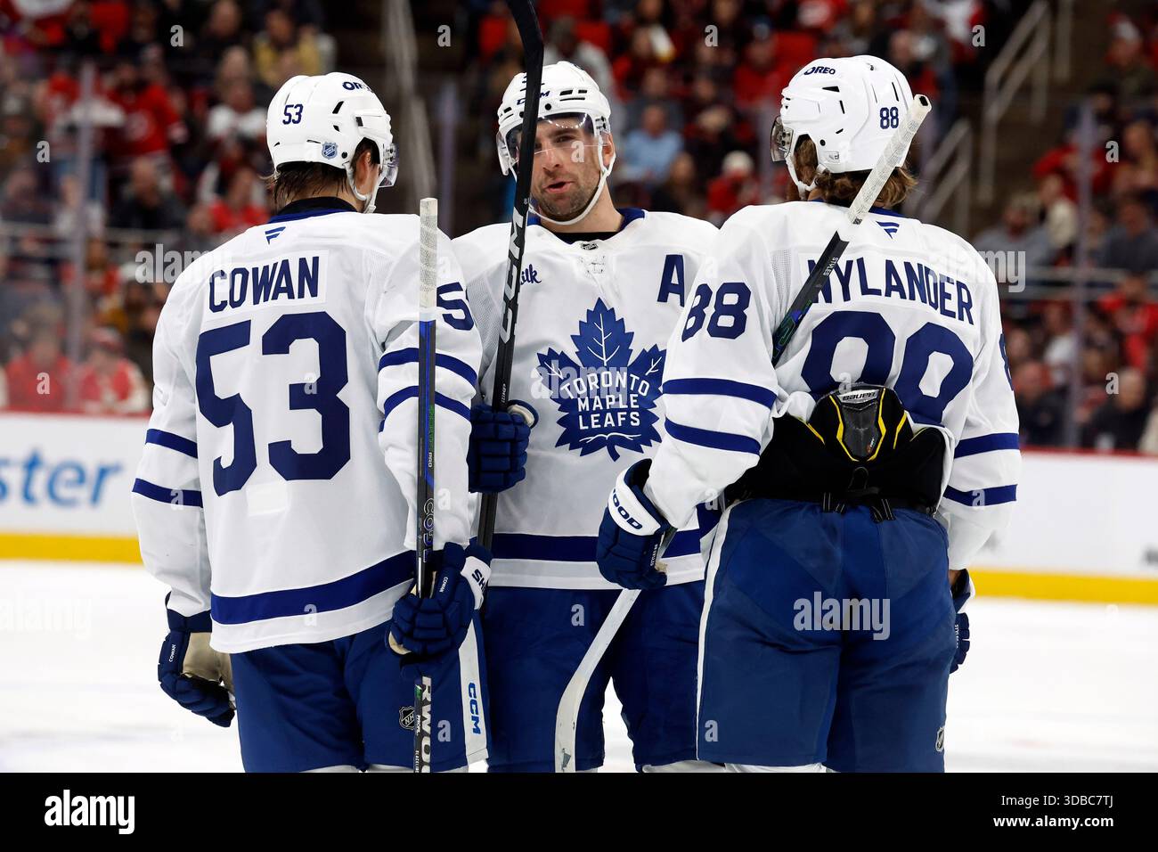 Toronto Maple Leafs' Easton Cowan (53), William Nylander (88) and John ...