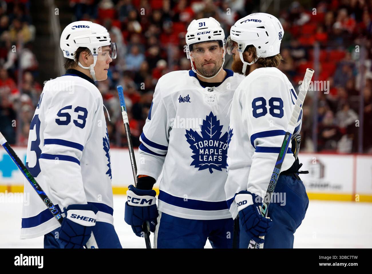 Toronto Maple Leafs' Easton Cowan (53), William Nylander (88) and John ...