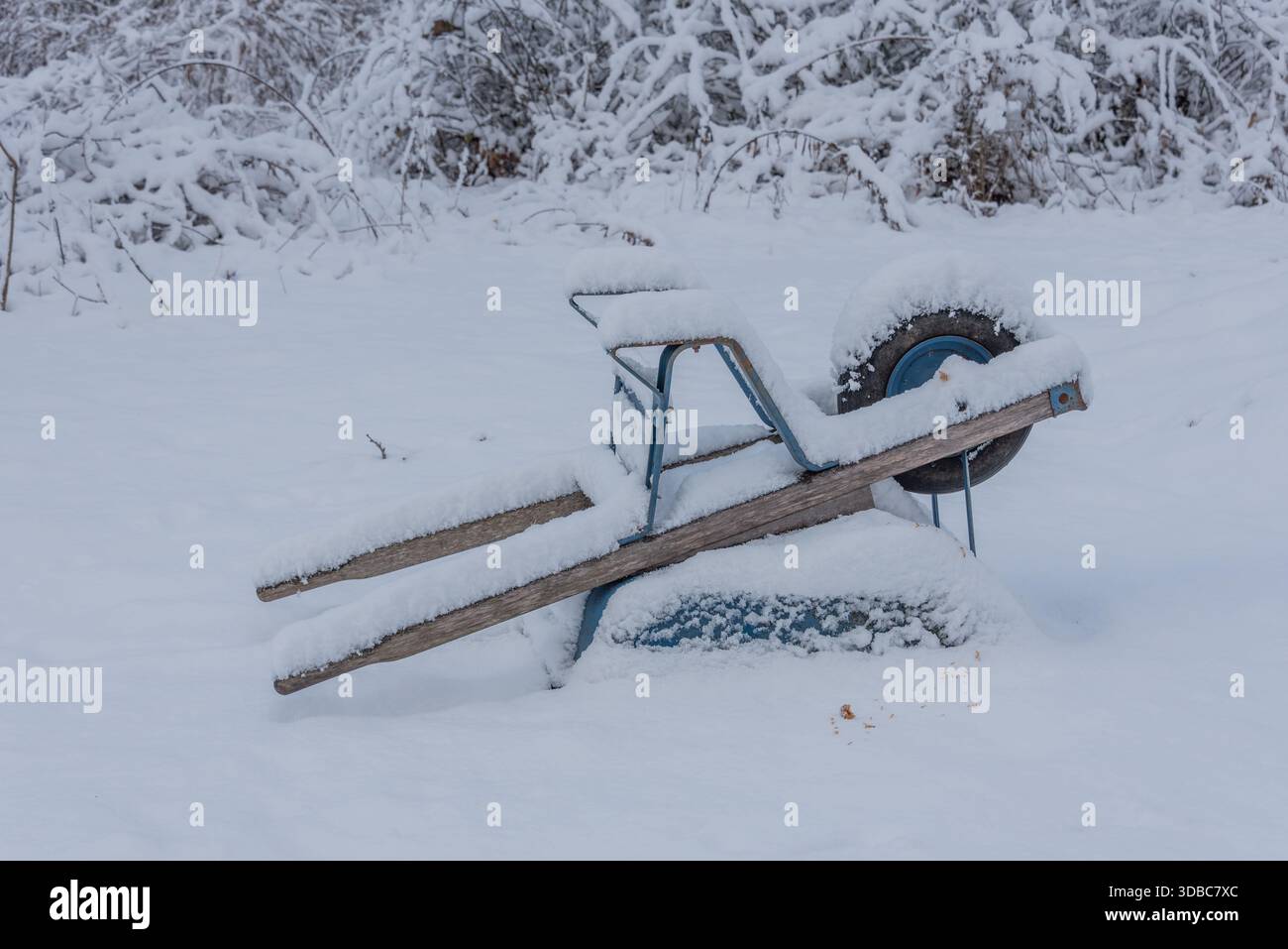 Wheelbarrow in snow storm hi-res stock photography and images - Alamy